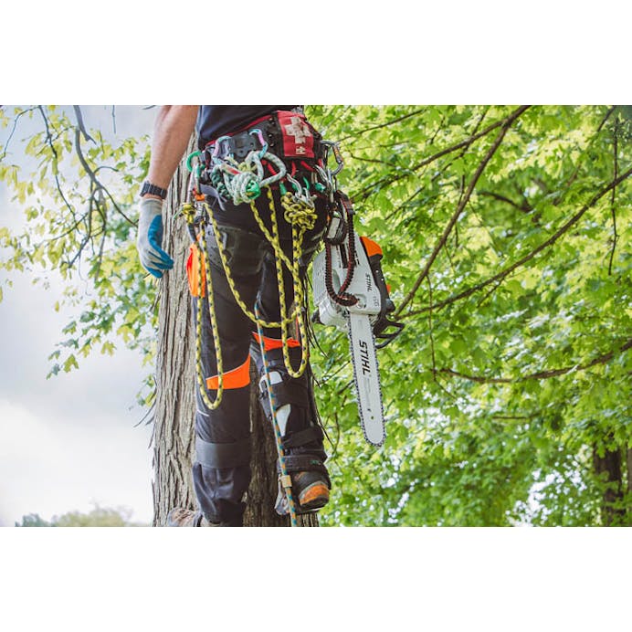 STIHL® MS 201 T C-M 14 Chainsaw – Clean Slate Power House